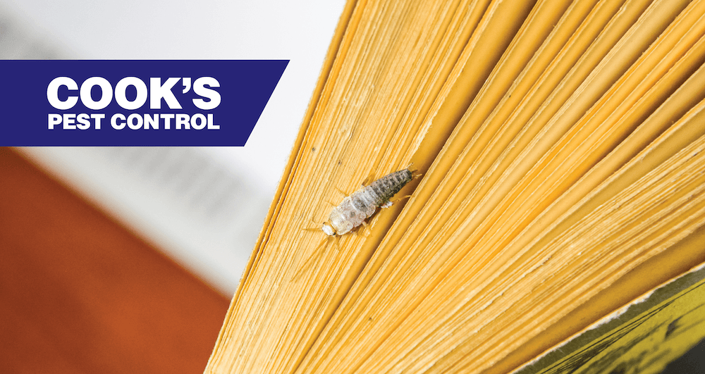 Cook's Pest Control | Pest, Mosquito, and Termite Control
